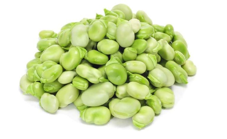 Faba Bean | Panwest Agro