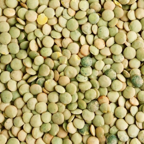 Australian Lentils Exporter | Panwest Agro