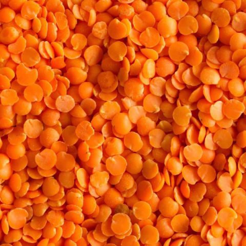 Australian Lentils Exporter | Panwest Agro